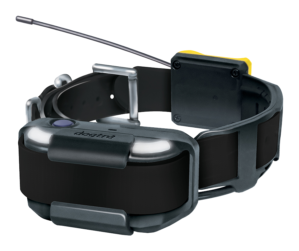 Dogtra Pathfinder2 GPS Dog Tracking and Training System Add-On Receiver ...